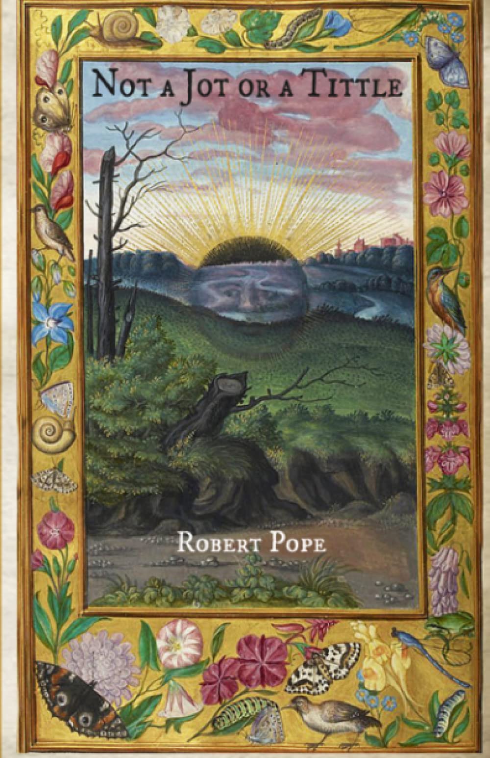 Not A Jot or A Tittle: 16 Stories by Robert Pope by Robert Pope | Goodreads