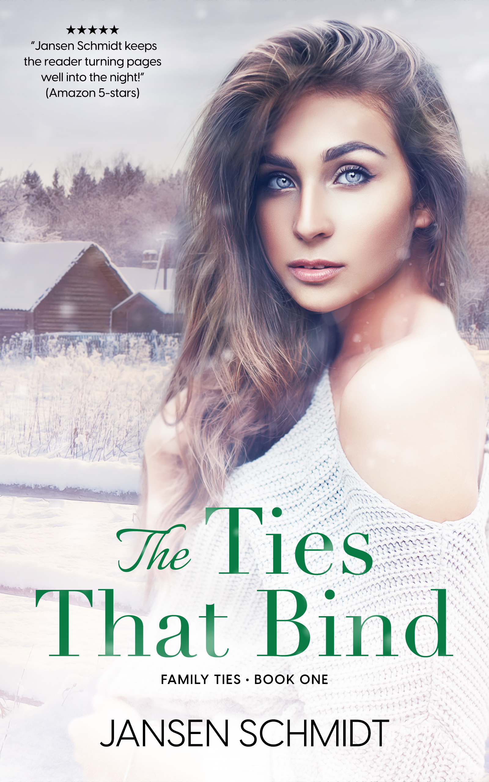 The Ties That Bind - Book 1 in the Family Ties Series by Jansen Schmidt ...