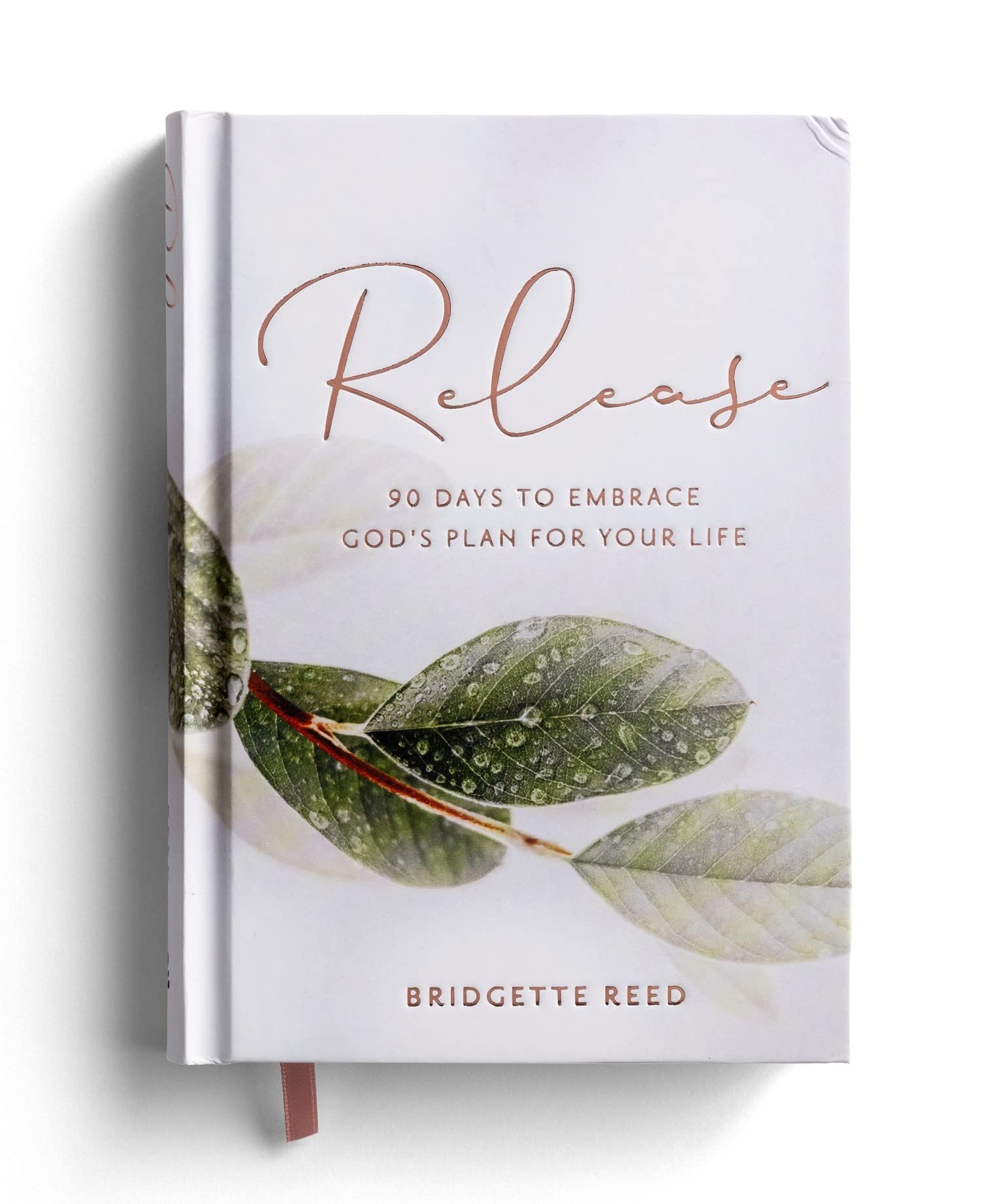 Release: 90 Days to Embrace God's Plans for Your Life by Bridgette Reed ...