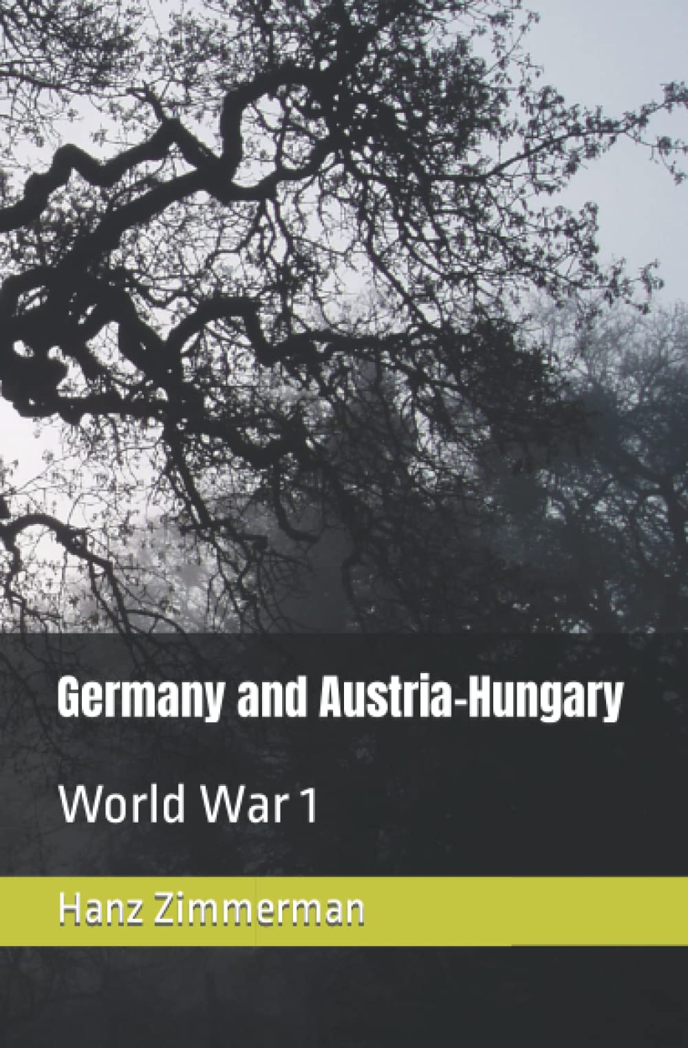 Germany and Austria-Hungary: World War 1 by Hanz Zimmerman | Goodreads