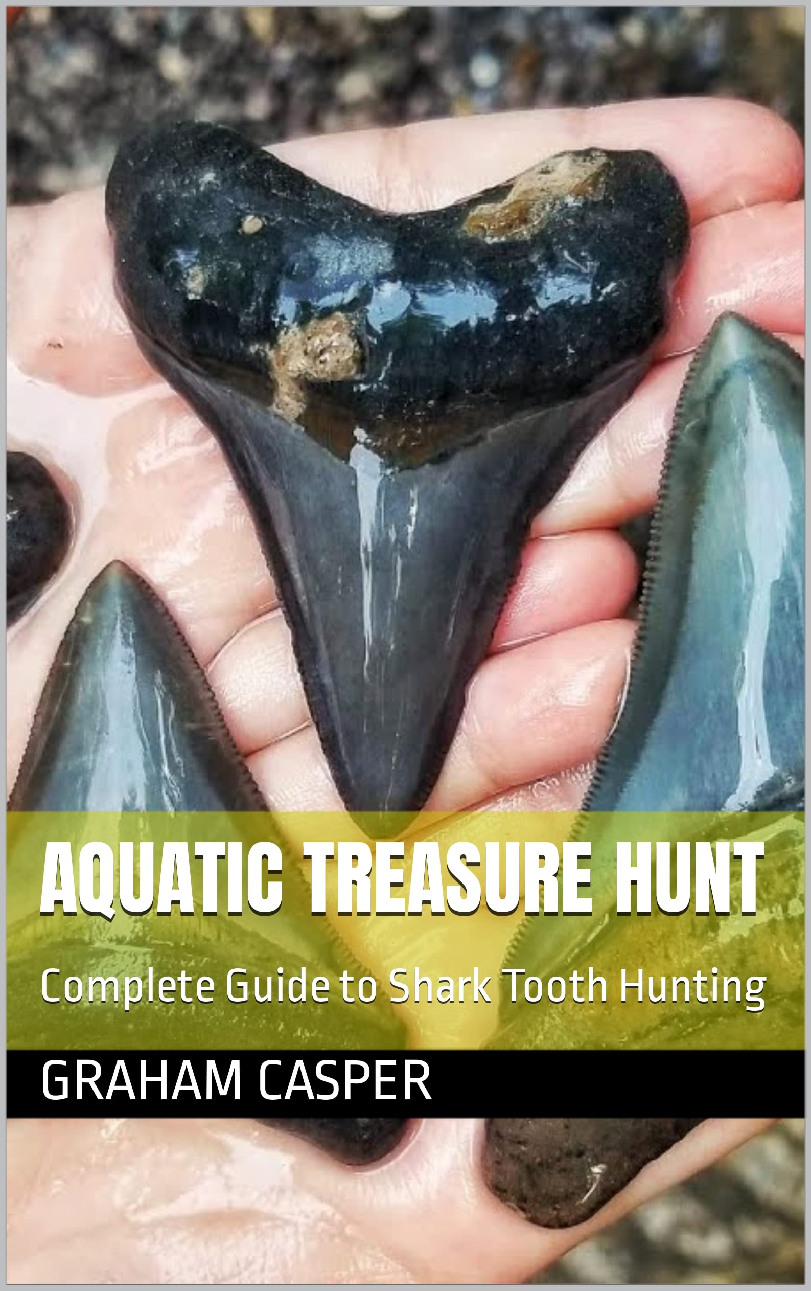 AQUATIC TREASURE HUNT: Complete Guide to Shark Tooth Hunting by Graham ...