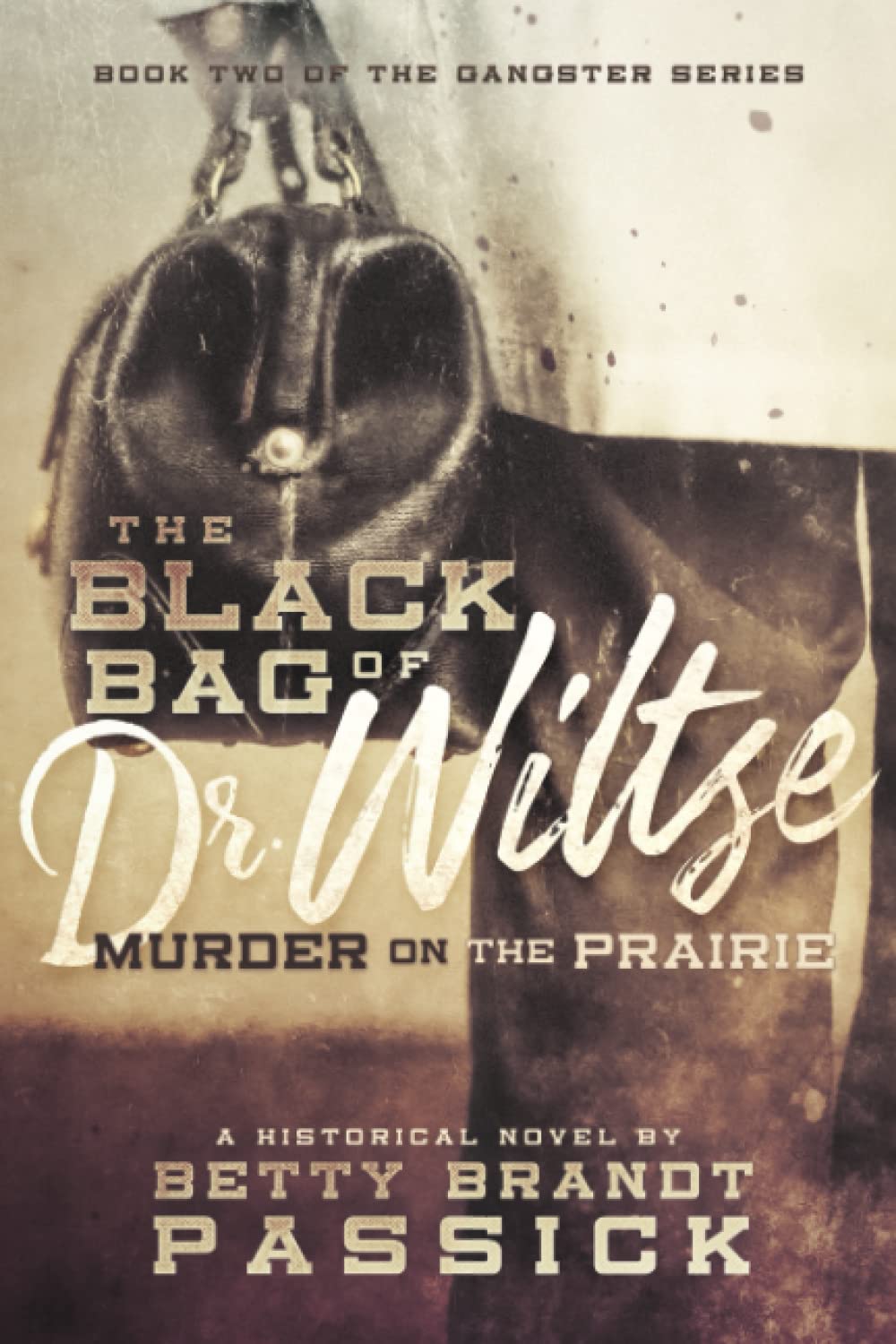 The Black Bag of Dr. Wiltse: Murder on The Prairie by Betty Brandt ...