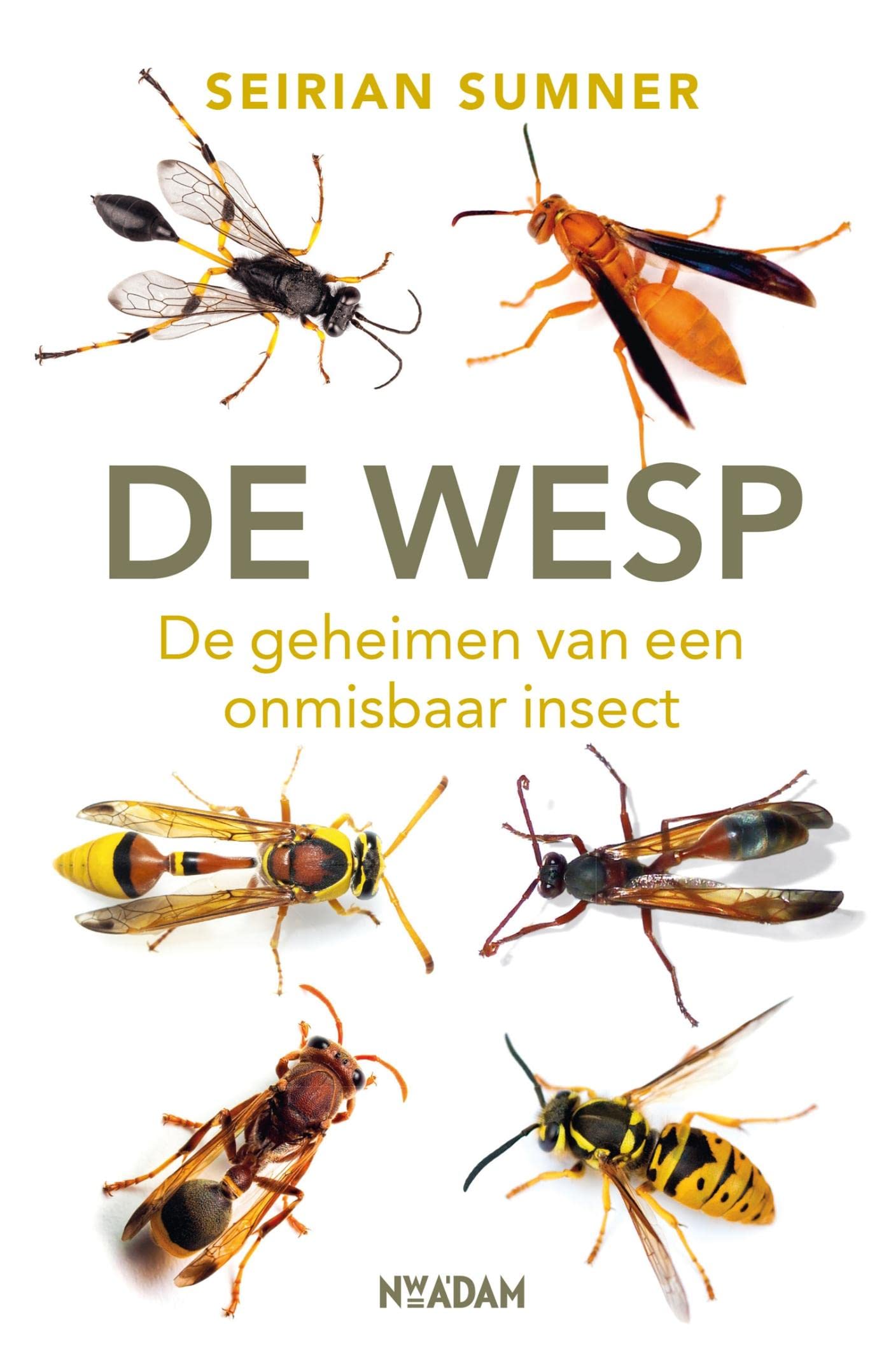 De wesp by Seirian Sumner | Goodreads