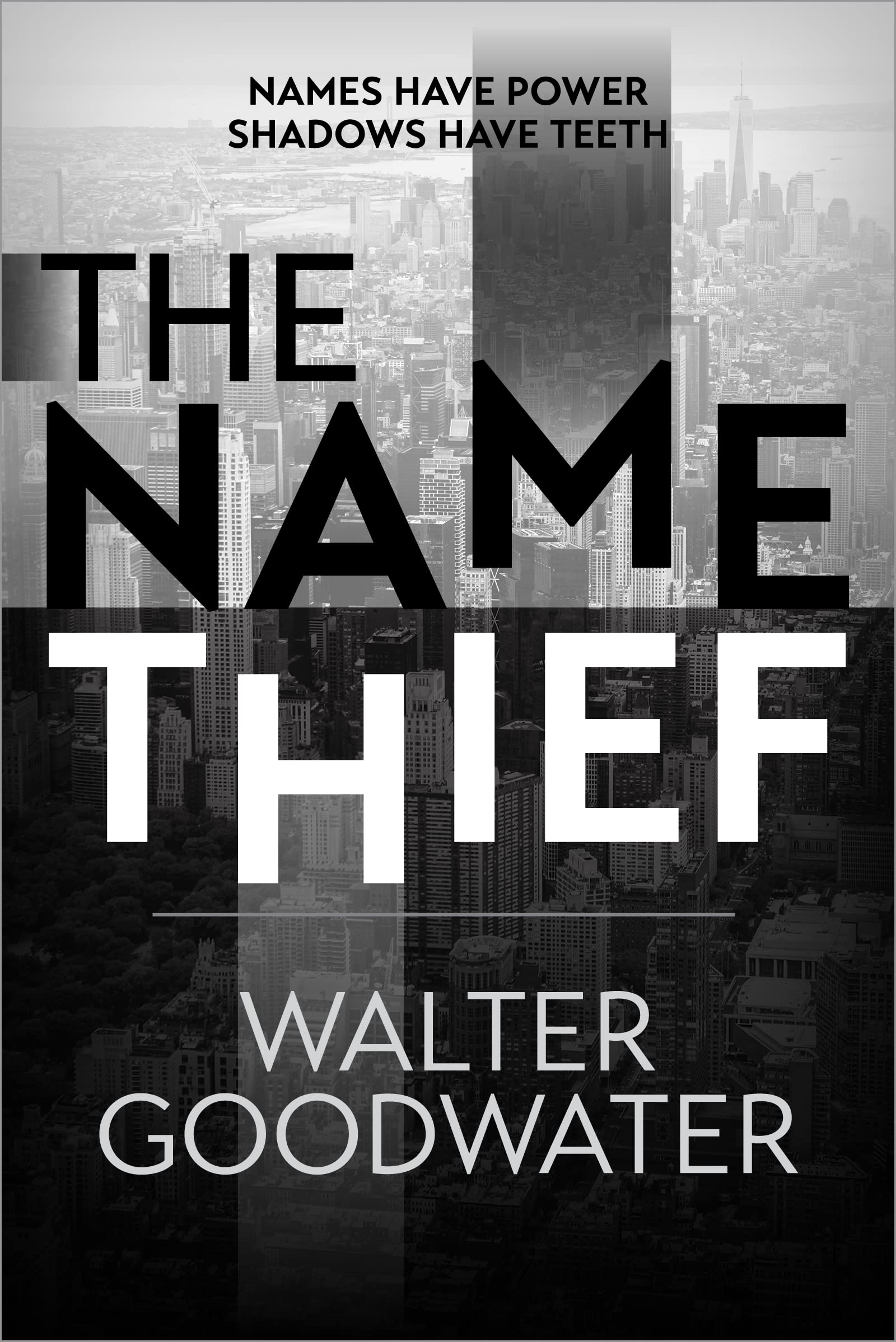 The Name Thief by Walter Goodwater | Goodreads