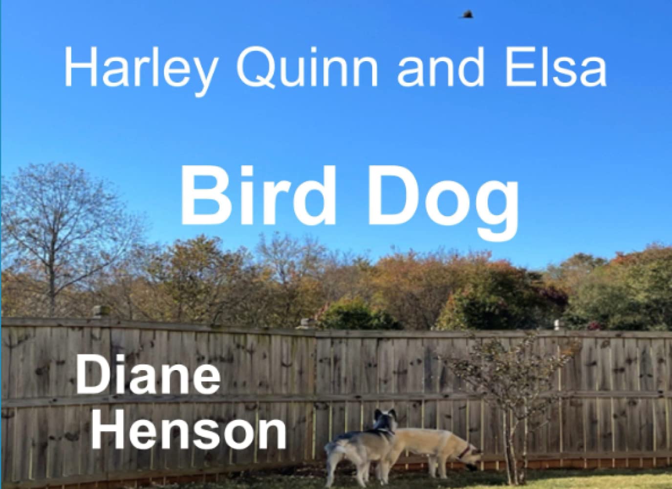 Bird Dog (The Adventures of Harley Quinn and Elsa) by Diane Henson ...