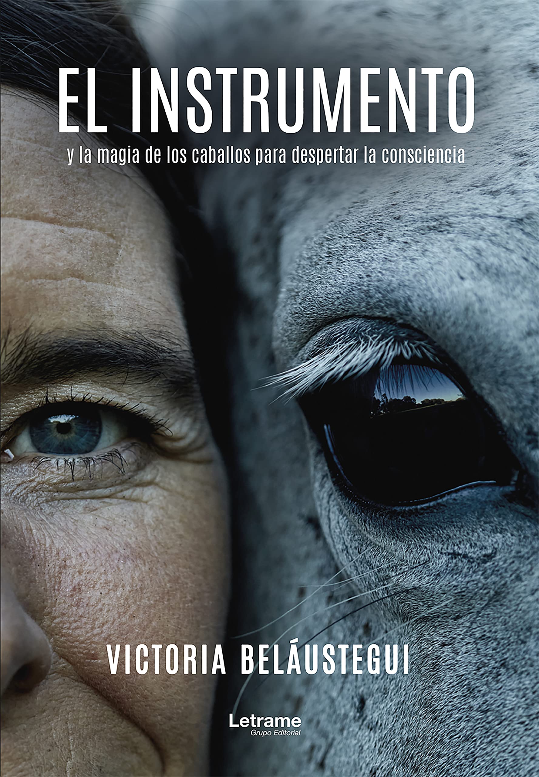 El instrumento y la magia de los caballos para despertar la consciencia ...
