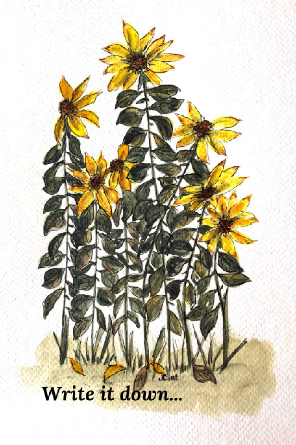 Write it down by Jan Cline | Goodreads