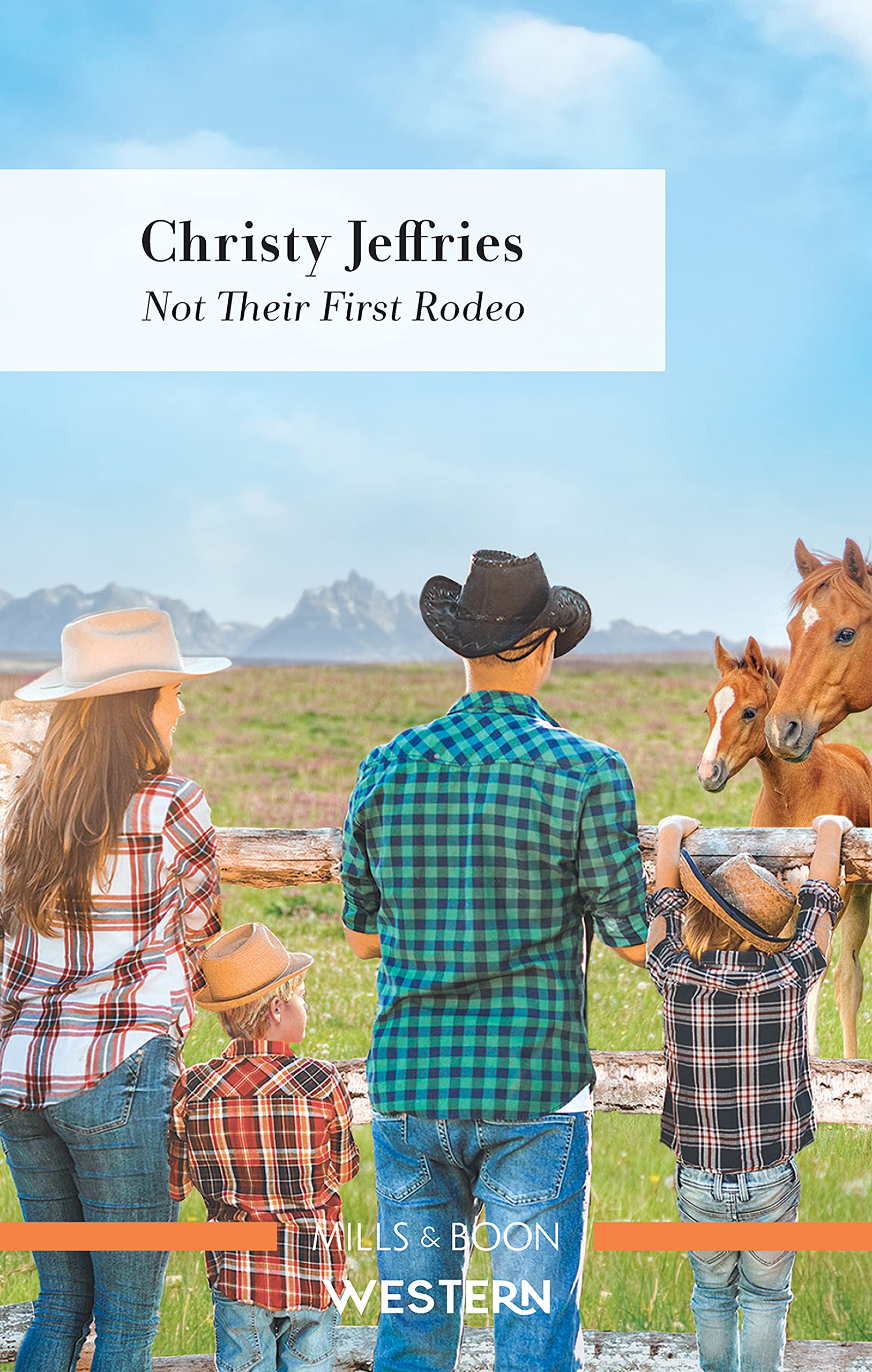 Not Their First Rodeo (Twin Kings Ranch Book 3) by Christy Jeffries | Goodreads