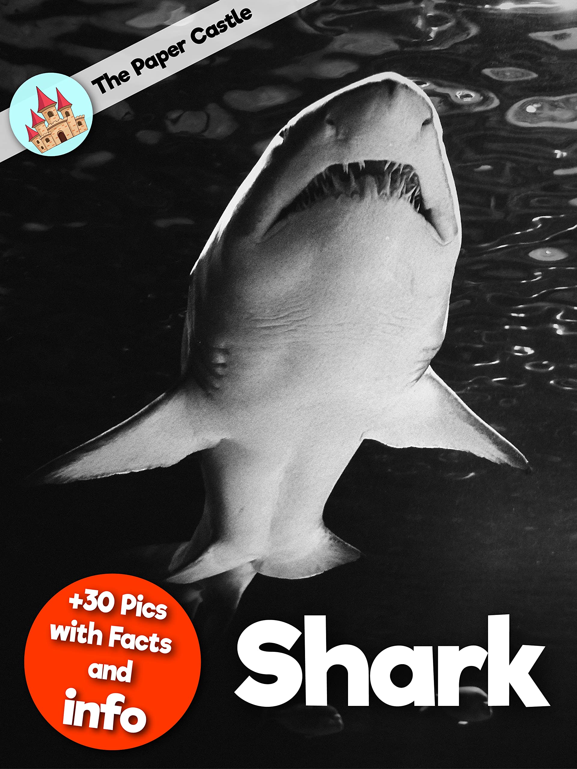 Shark Information Book: Amazing Facts For Kids With High-Quality ...