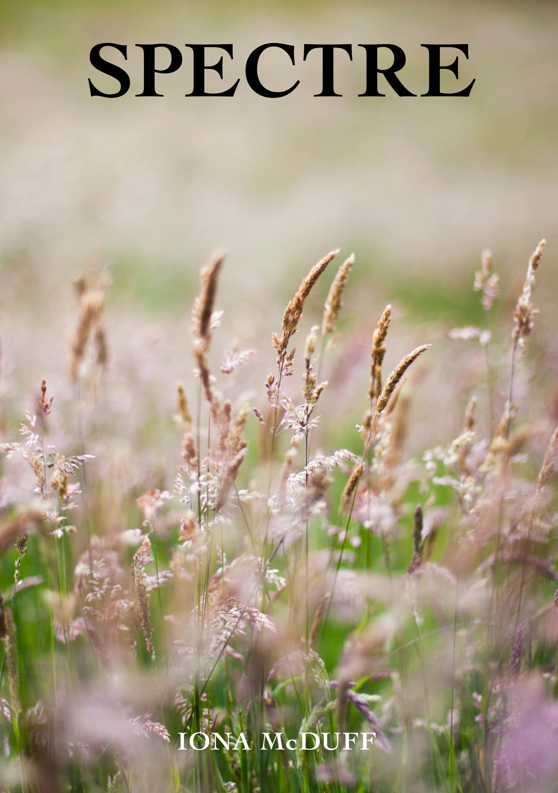 Spectre: Book 7 (The MacDouglas Highlander series) by Iona McDuff ...