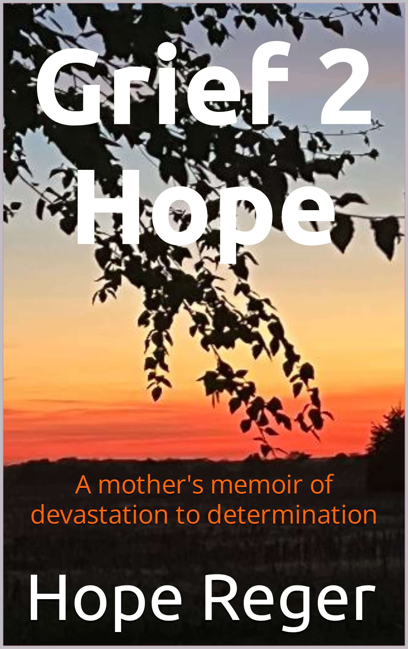 Grief 2 Hope: A mother's memoir of devastation to determination. by ...