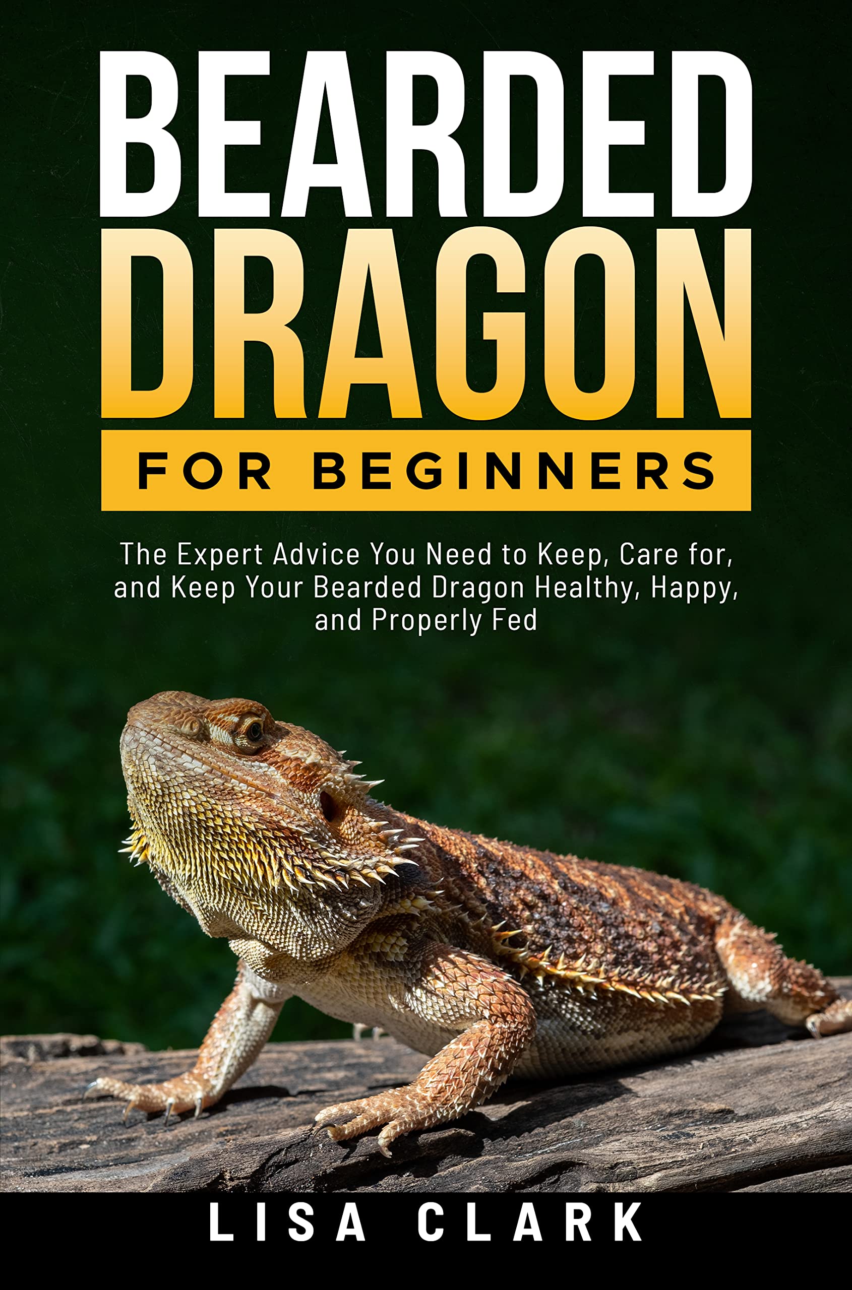 Bearded Dragon For Beginners: The Expert Advice You Need to Keep, Care ...