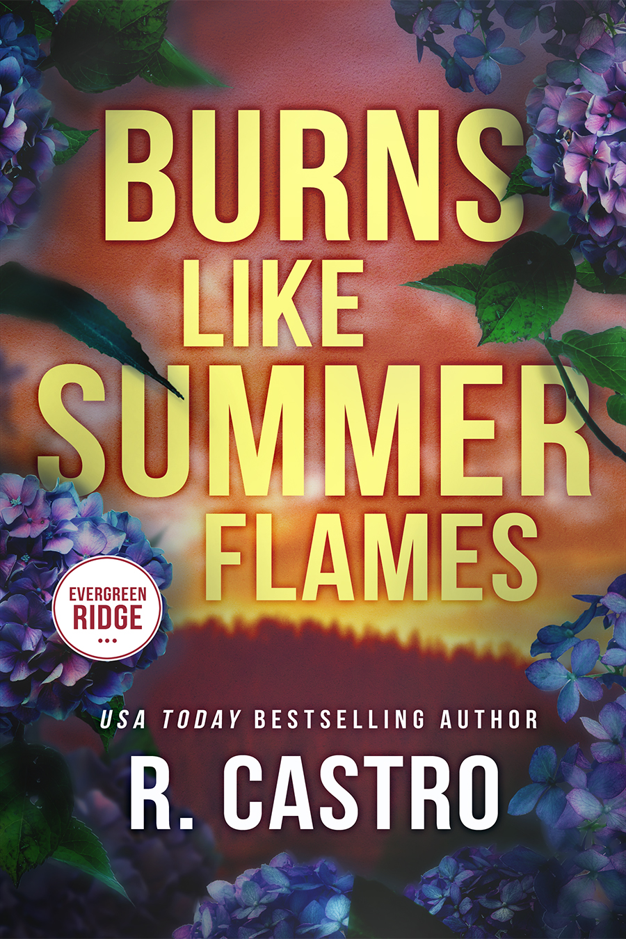 Burns like Summer Flames by R. Castro | Goodreads
