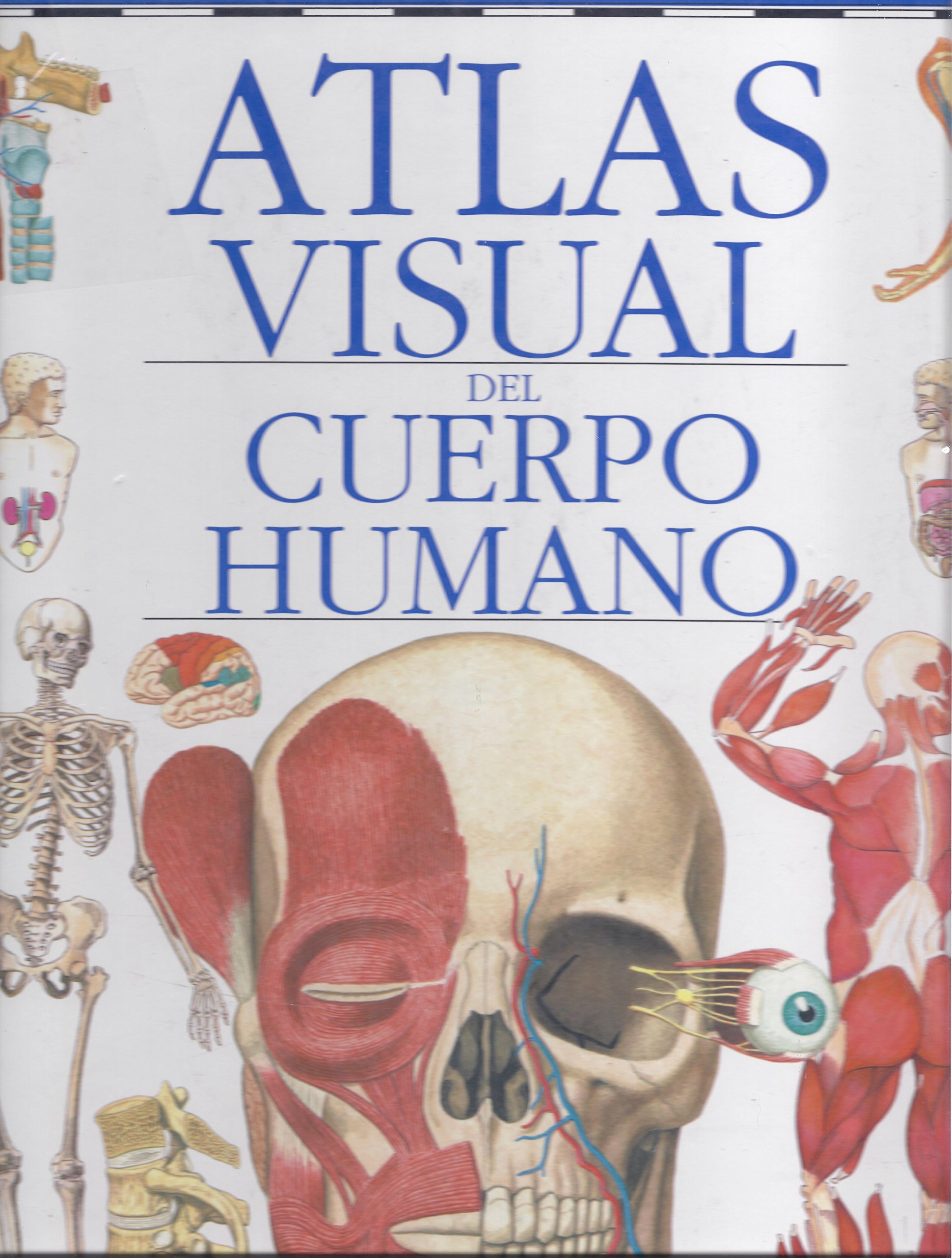 Atlas Visual Del Cuerpo Humano by Steve Parker | Goodreads