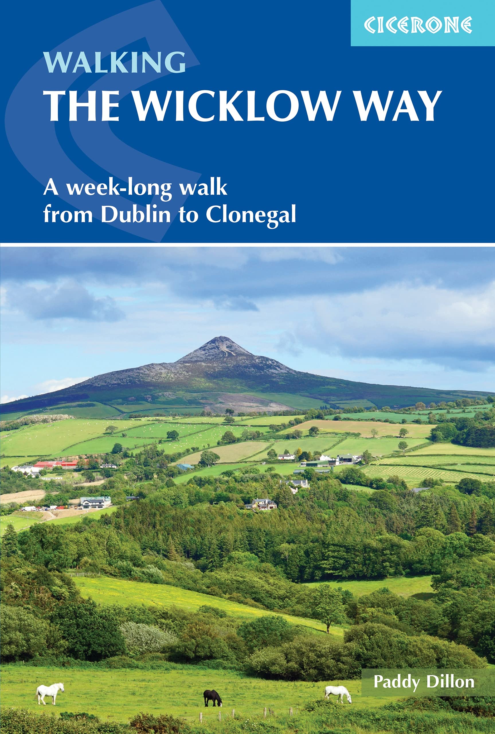Walking the Wicklow Way: A week-long walk from Dublin to Clonegal by ...