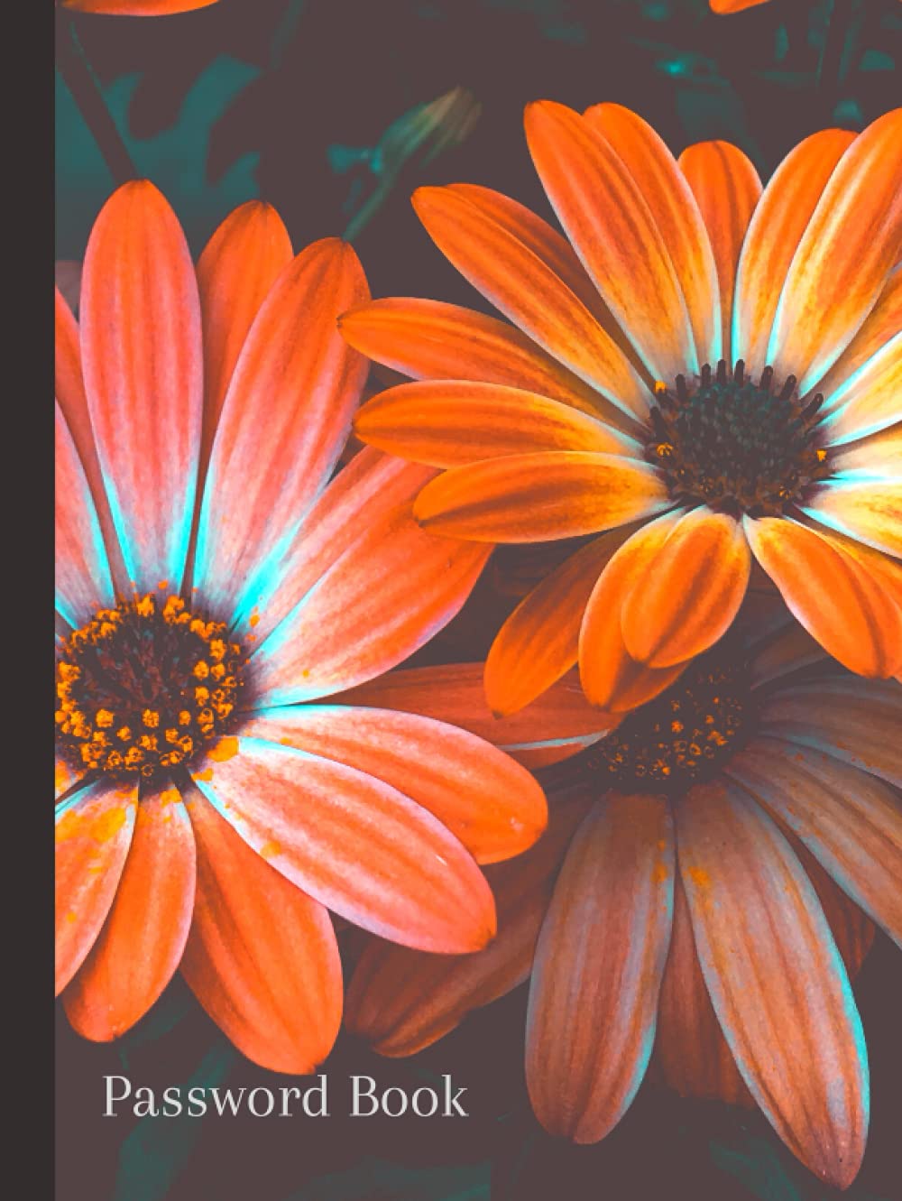 Large Print Password Book With Alphabetical Tabs: Hardcover Password ...