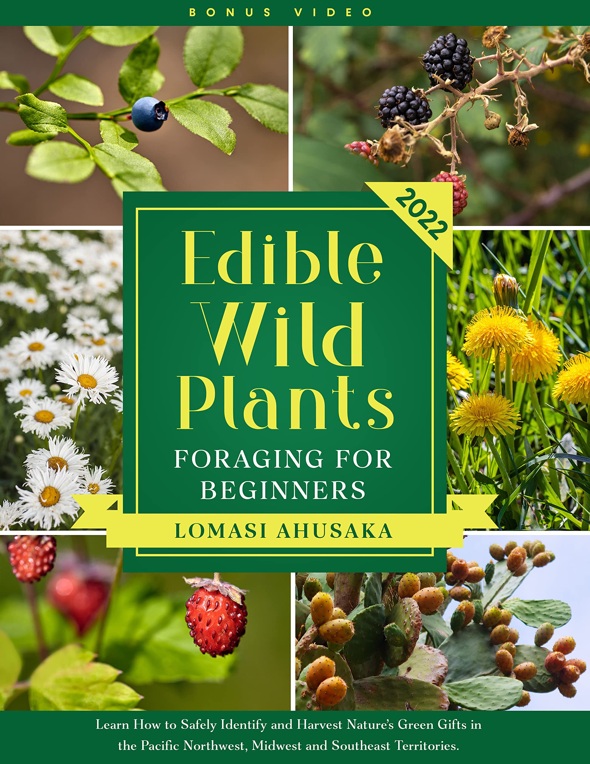 Edible Wild Plants Foraging for Beginners: Learn How to Identify Safely ...