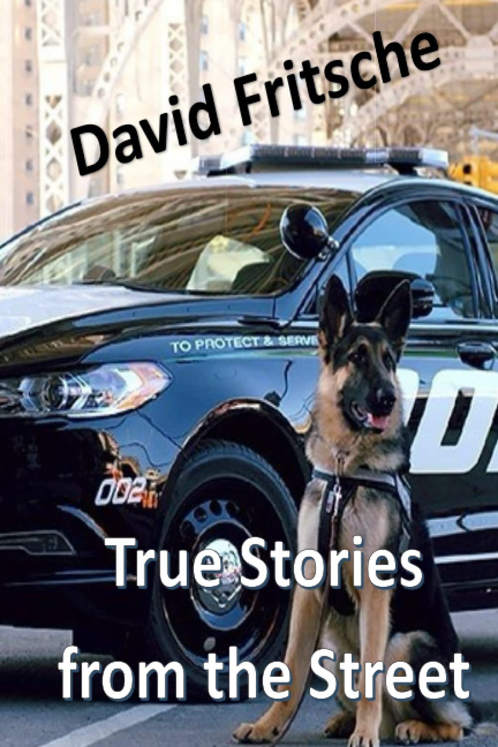 True Stories from the Street by David Fritsche Sr | Goodreads