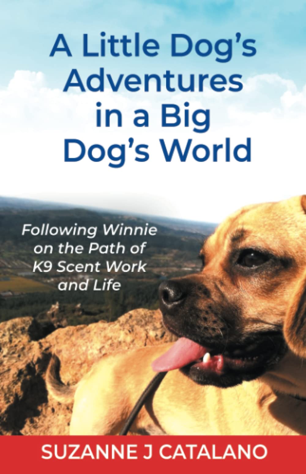 A Little Dog's Adventures in a Big Dog's World: Following Winnie on the ...