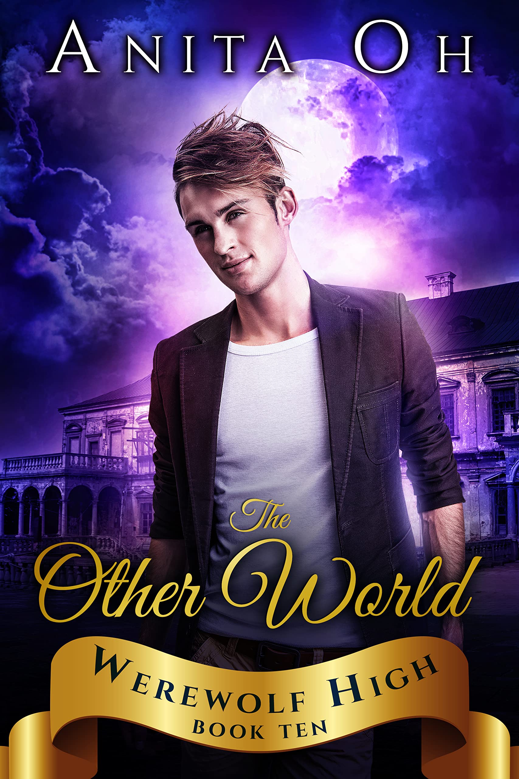 The Other World (Werewolf High #10) by Anita Oh | Goodreads