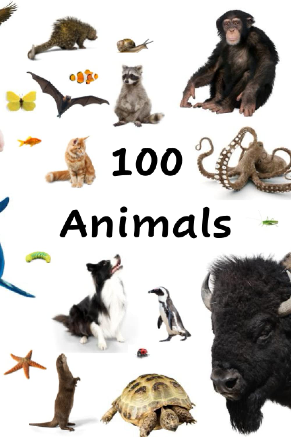 100 Animals by Julie Rogers | Goodreads