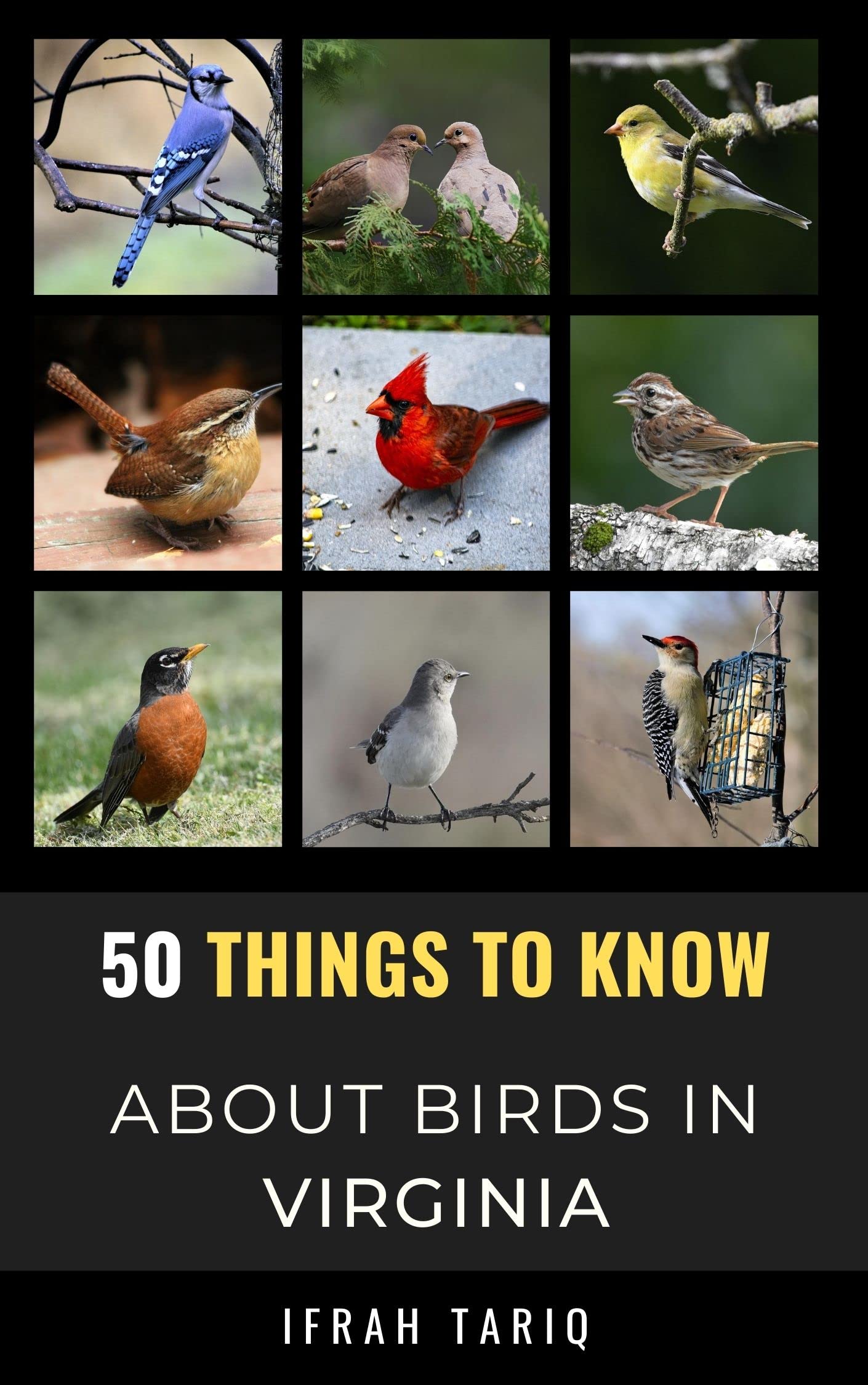 50 Things to Know About Birds in Virginia : Birding in Old Dominion by ...