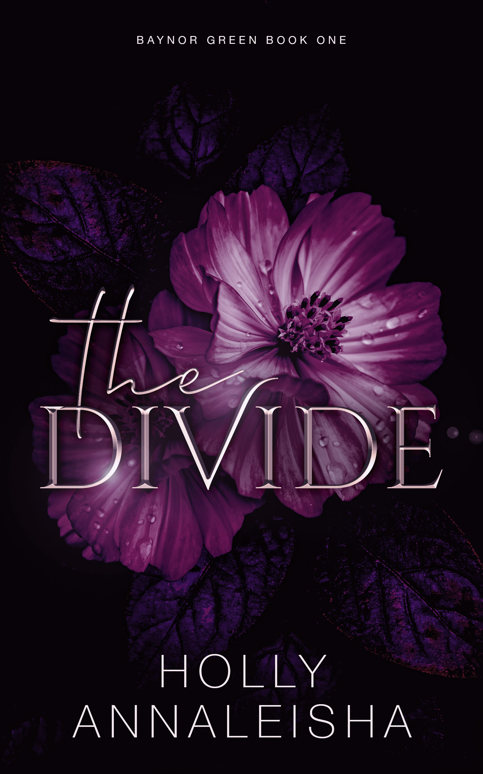 The Divide by Holly Annaleisha | Goodreads