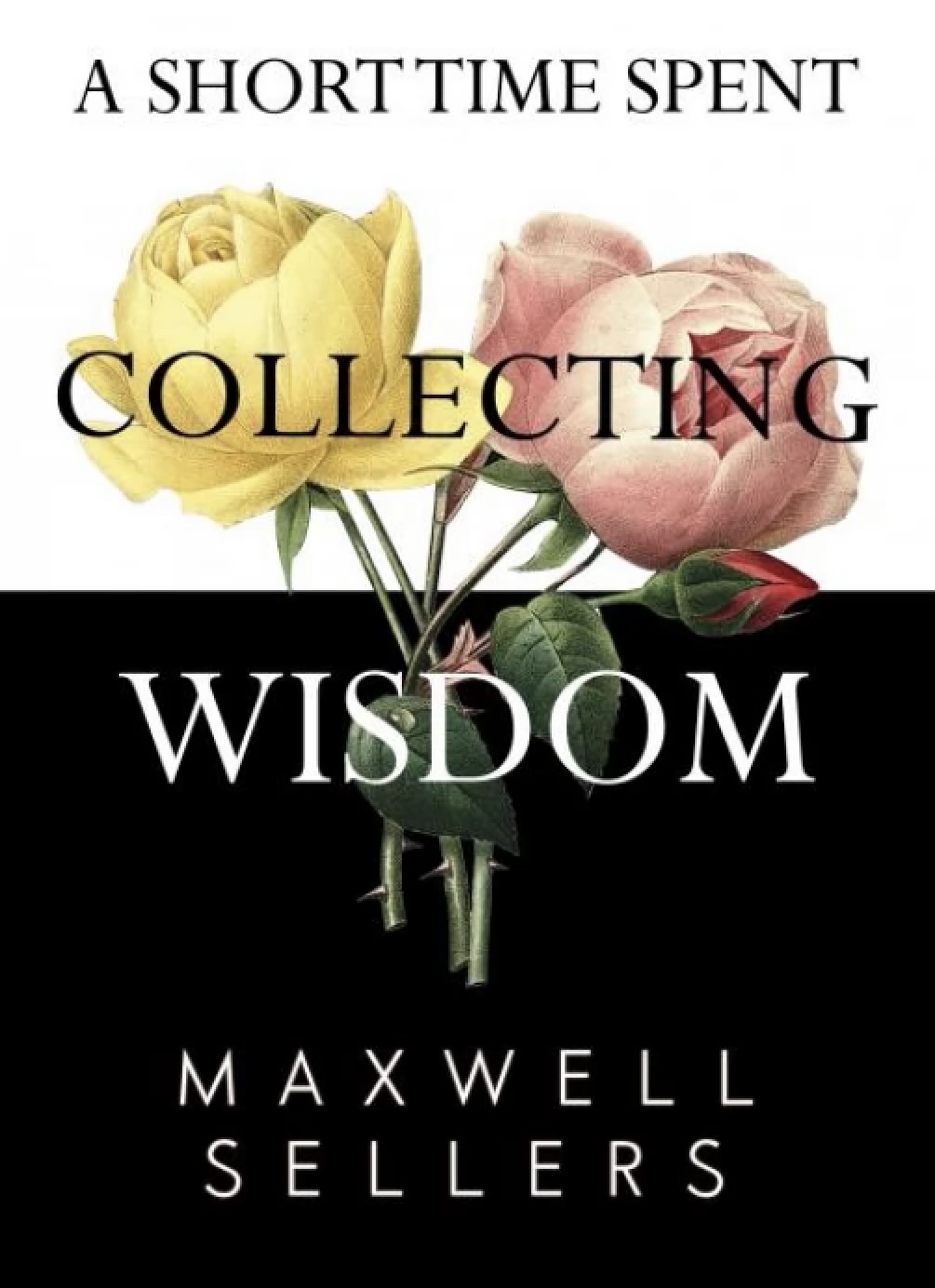 A Short Time Spent Collecting Wisdom by Maxwell Sellers | Goodreads