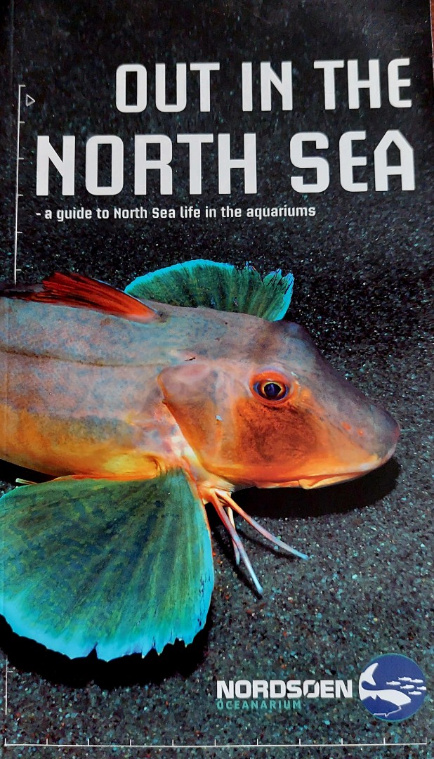 Out in the North Sea - a guide to North Sea life in the aquariums by ...