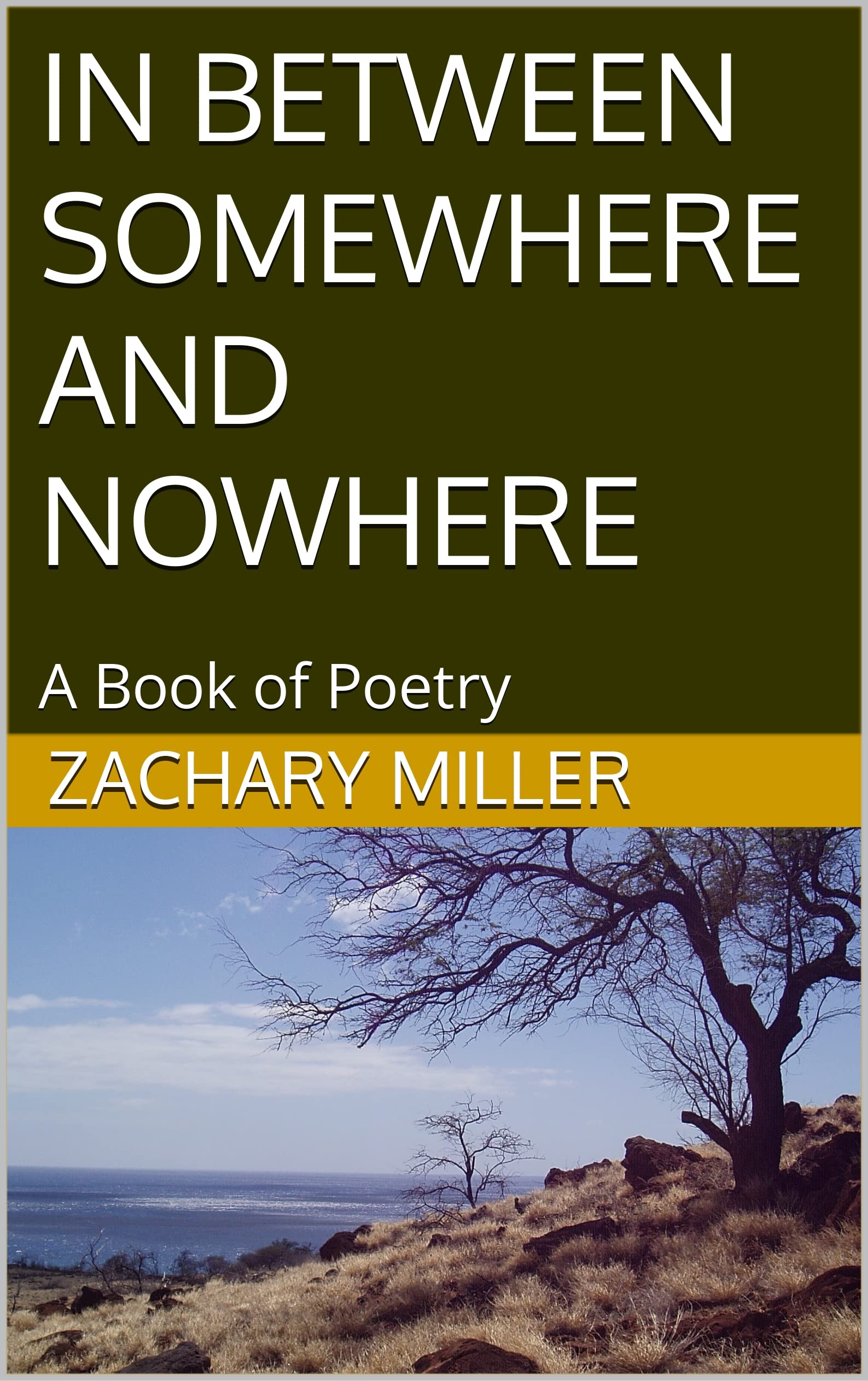 In Between Somewhere and Nowhere: A Book of Poetry by Zachary Miller ...