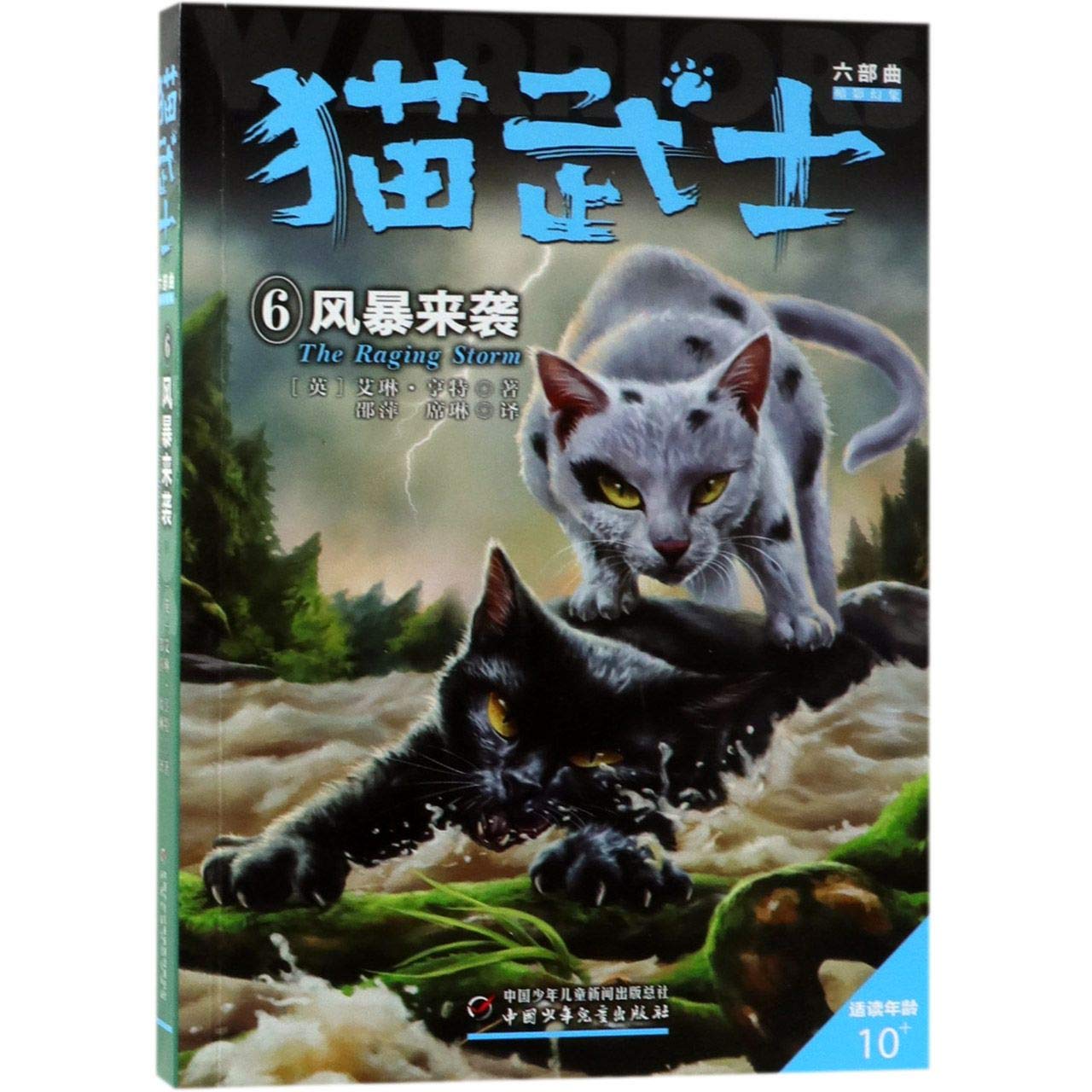 Warriors: A Vision of Shadows #6: The Raging Storm by Irene Hunter ...