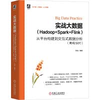 Practical big data (Hadoop+Spark+Flink) from platform construction to ...