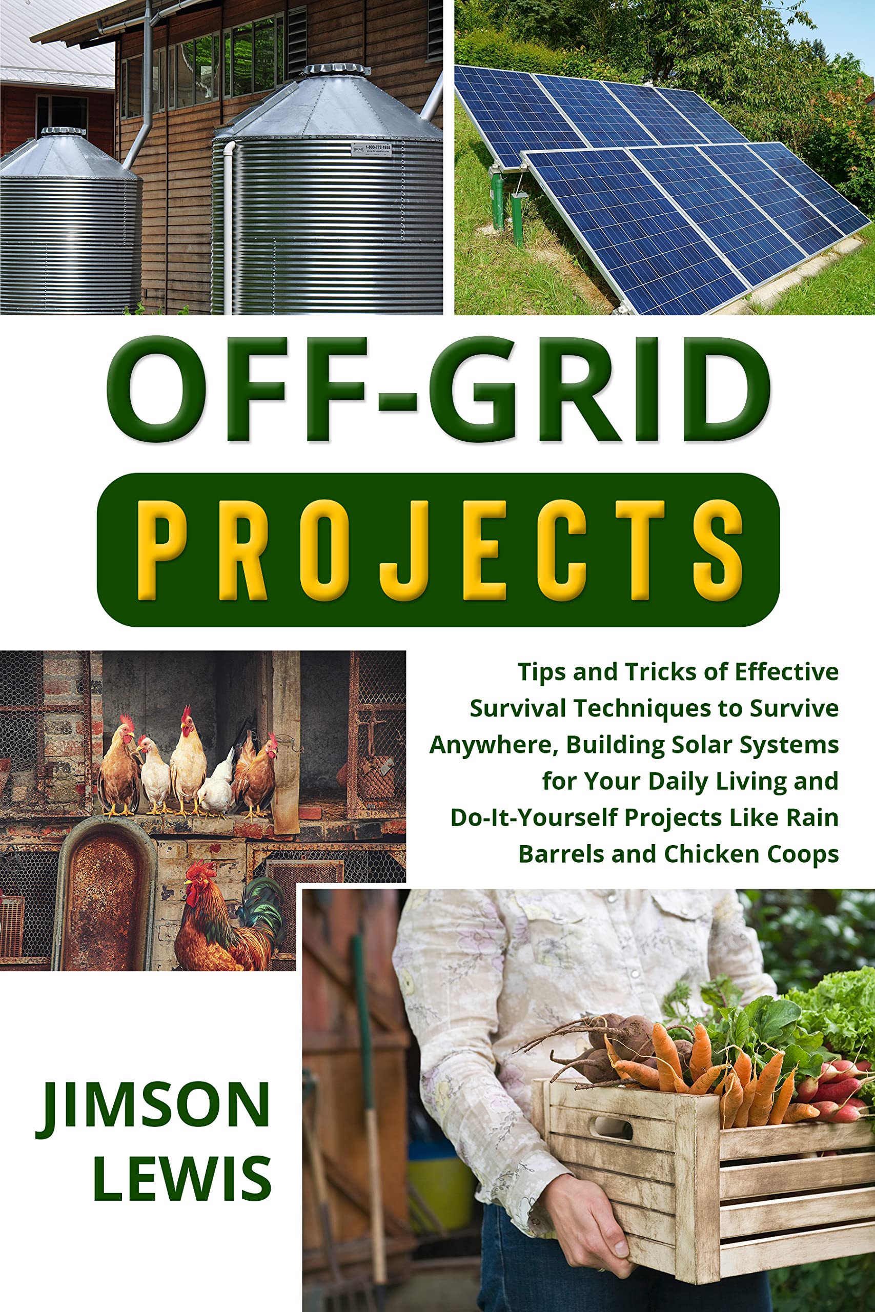 Off-Grid Projects: Tips and Tricks of Effective Survival Techniques to ...