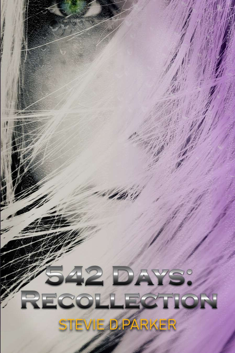 542 Days : Recollection by Stevie D. Parker | Goodreads