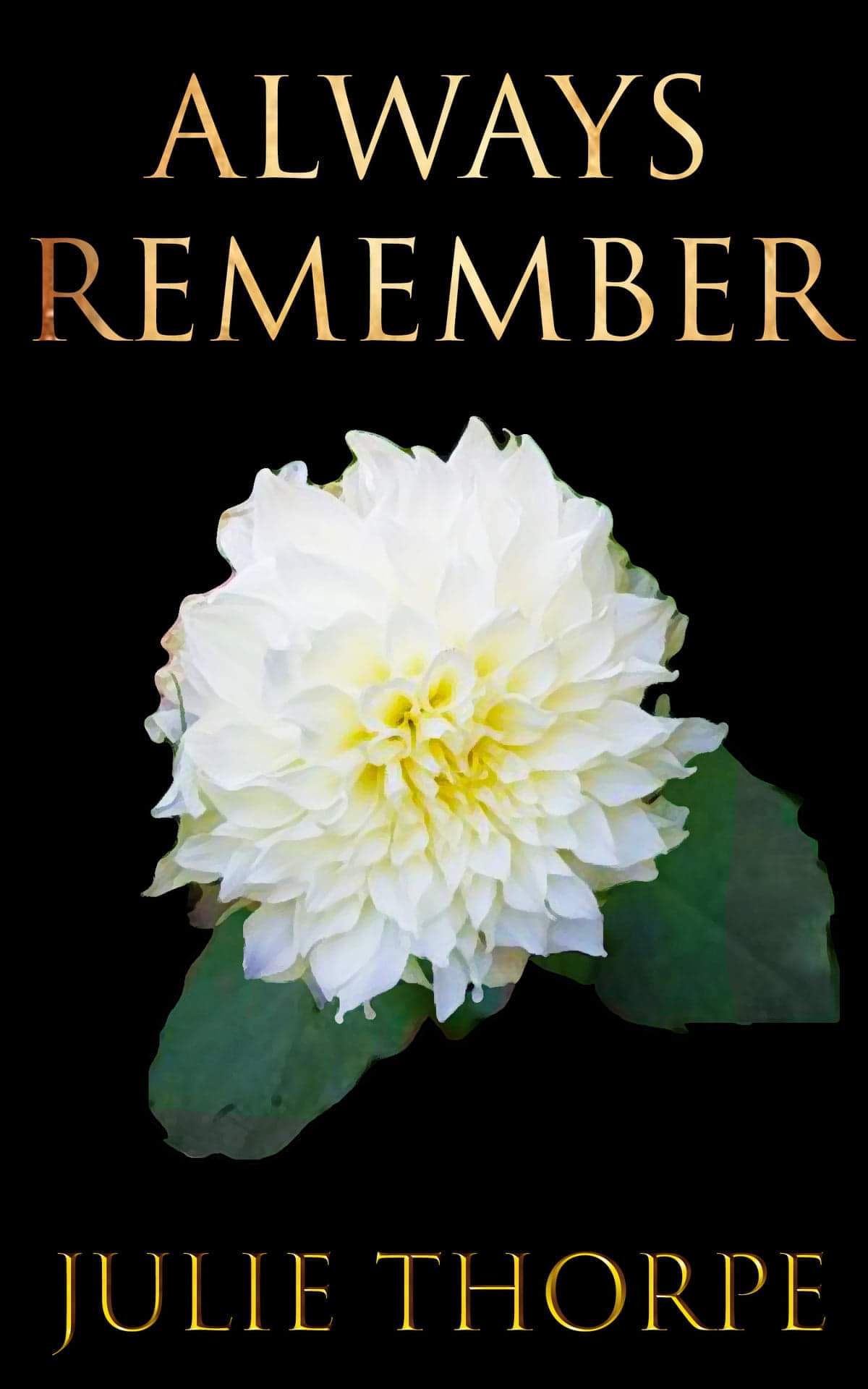 Always Remember by Julie Thorpe | Goodreads