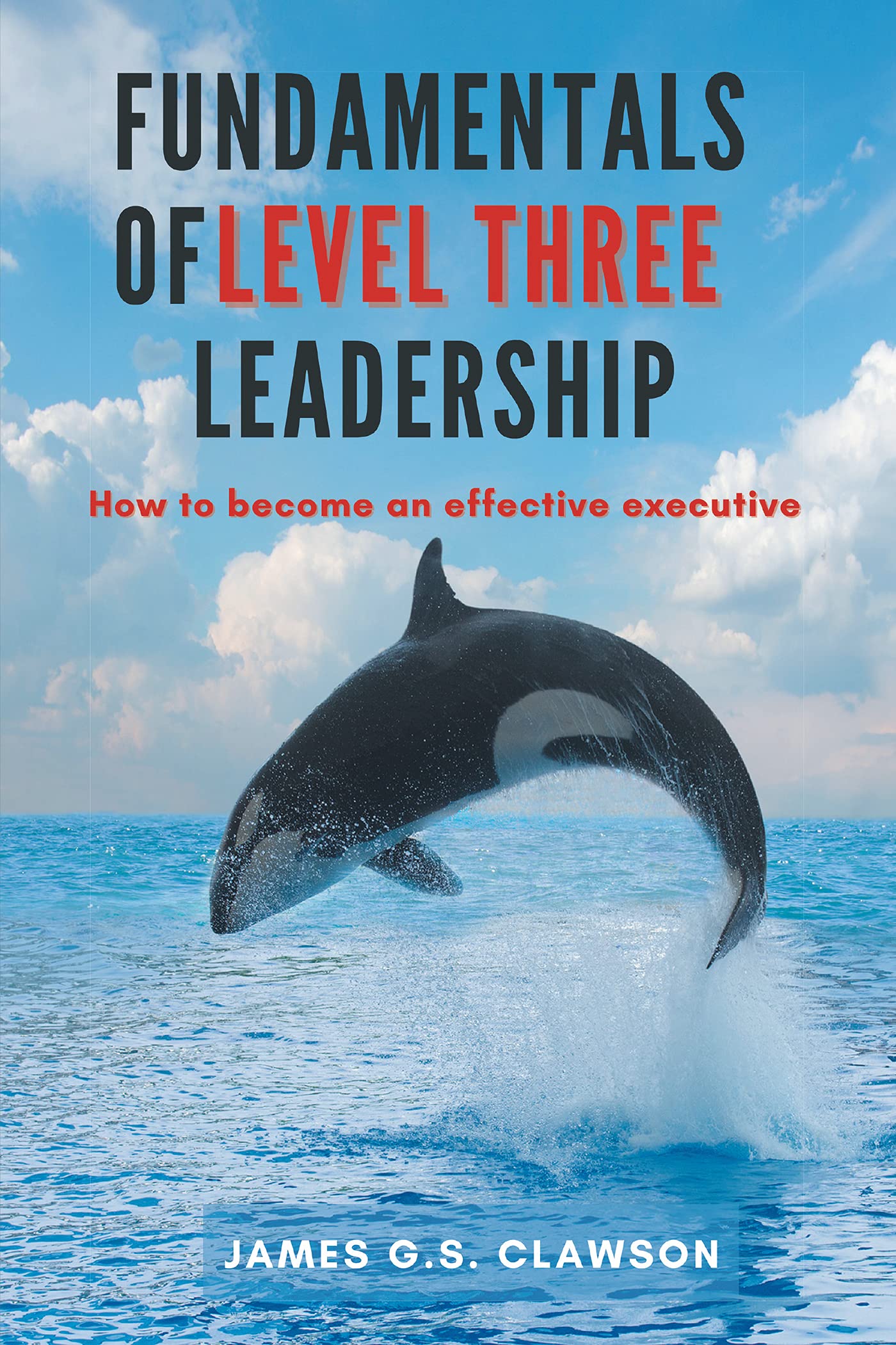 Fundamentals of Level Three Leadership: How to Become an Effective ...