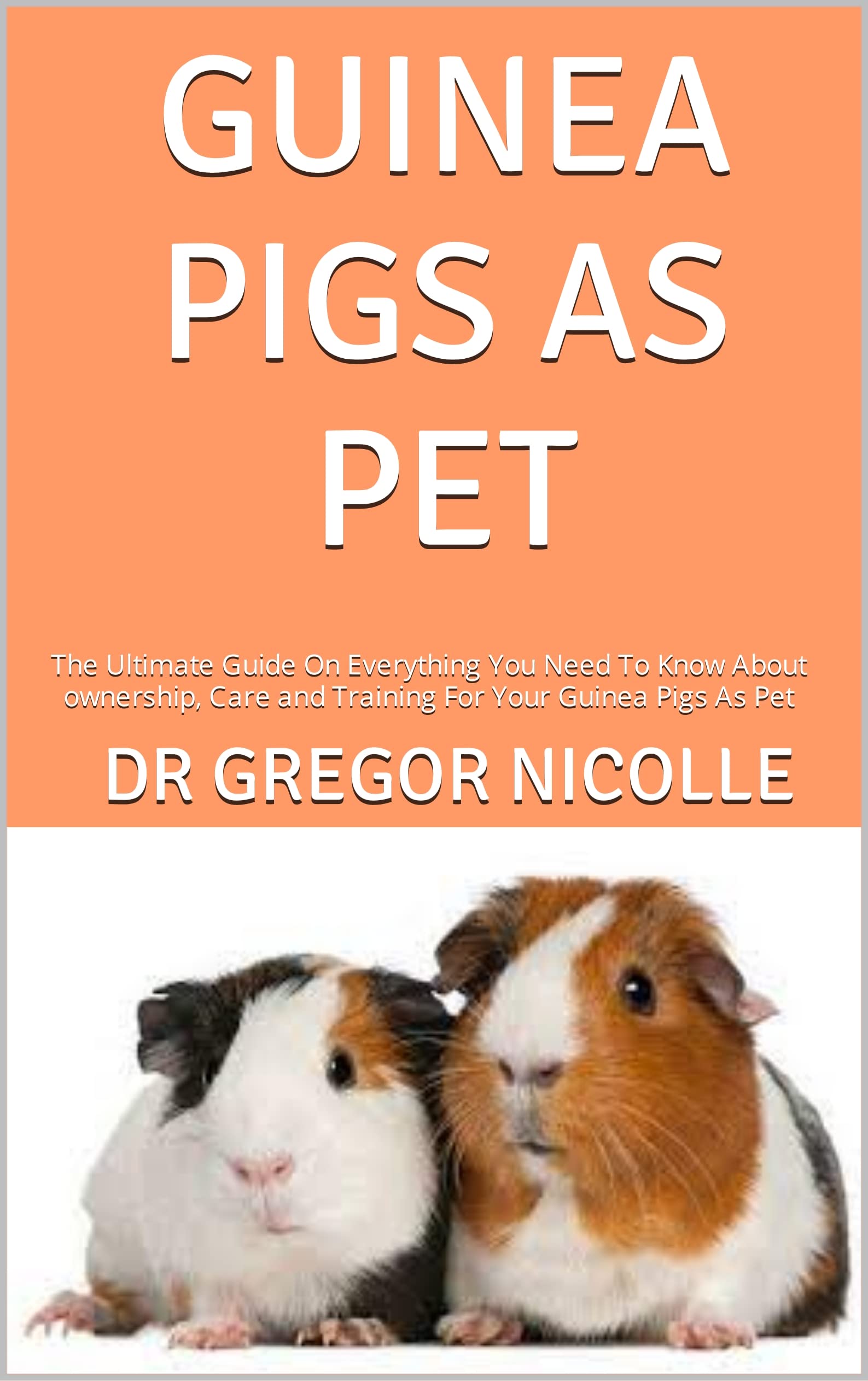 GUINEA PIGS AS PET : The Ultimate Guide On Everything You Need To Know ...