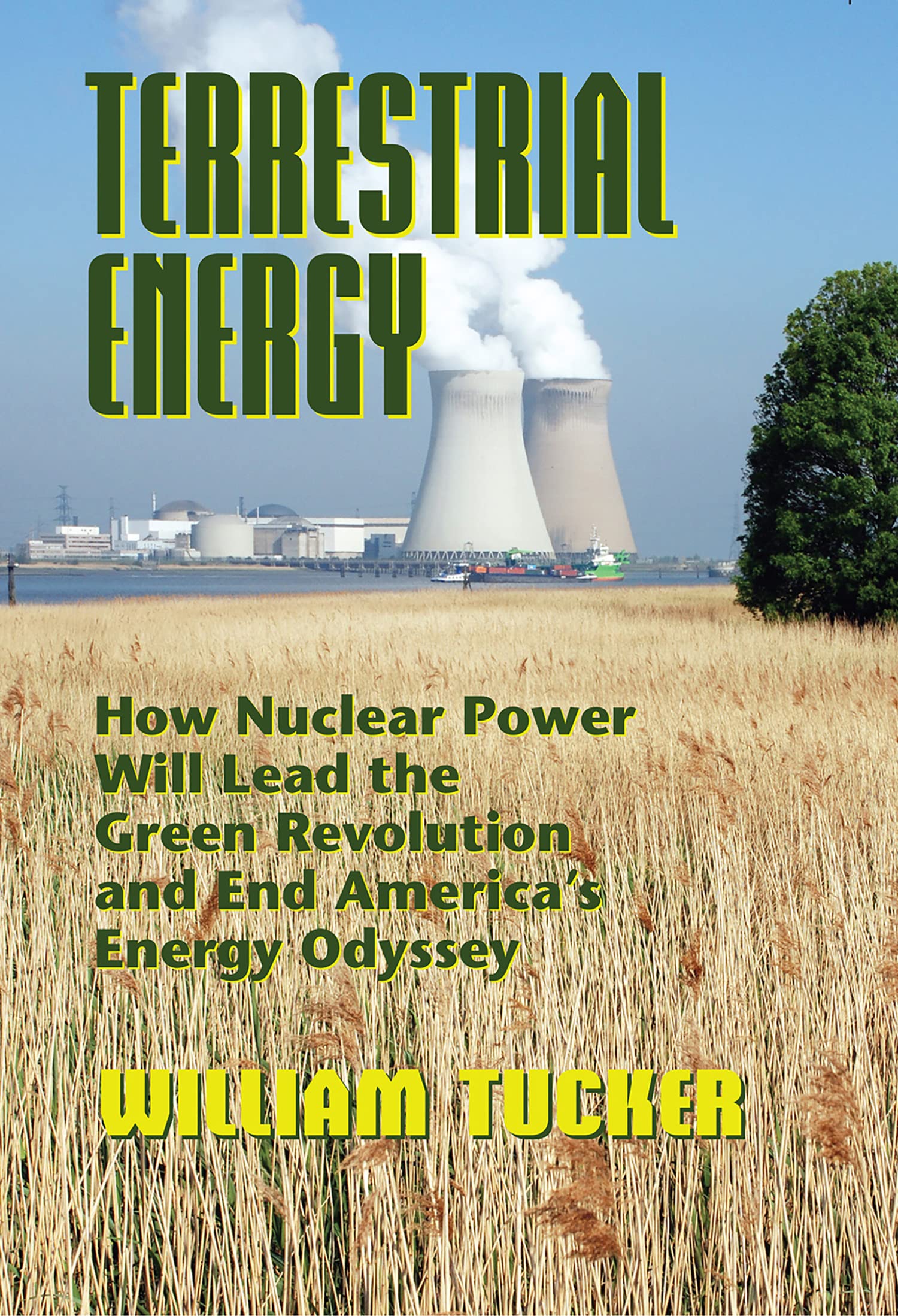 Terrestrial Energy: How Nuclear Power Will Lead the Green Revolution ...