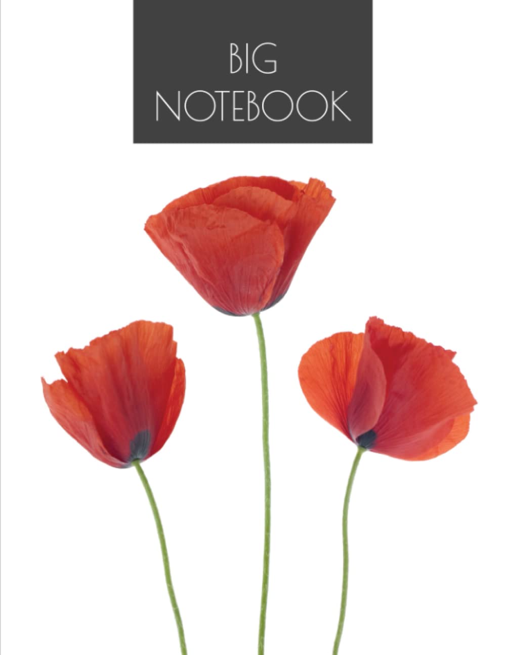 Big Notebook: Extra Large Giant Notebook, 500 College Ruled Pages, 8.5 ...