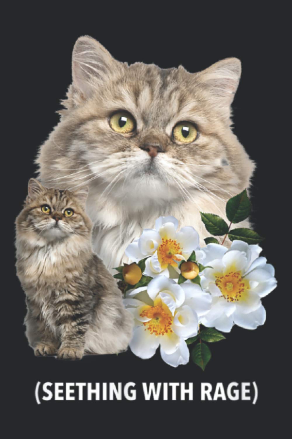 Funny Cat Seething With Rage Cute Sarcastic Kitty Feline: Daily planner ...