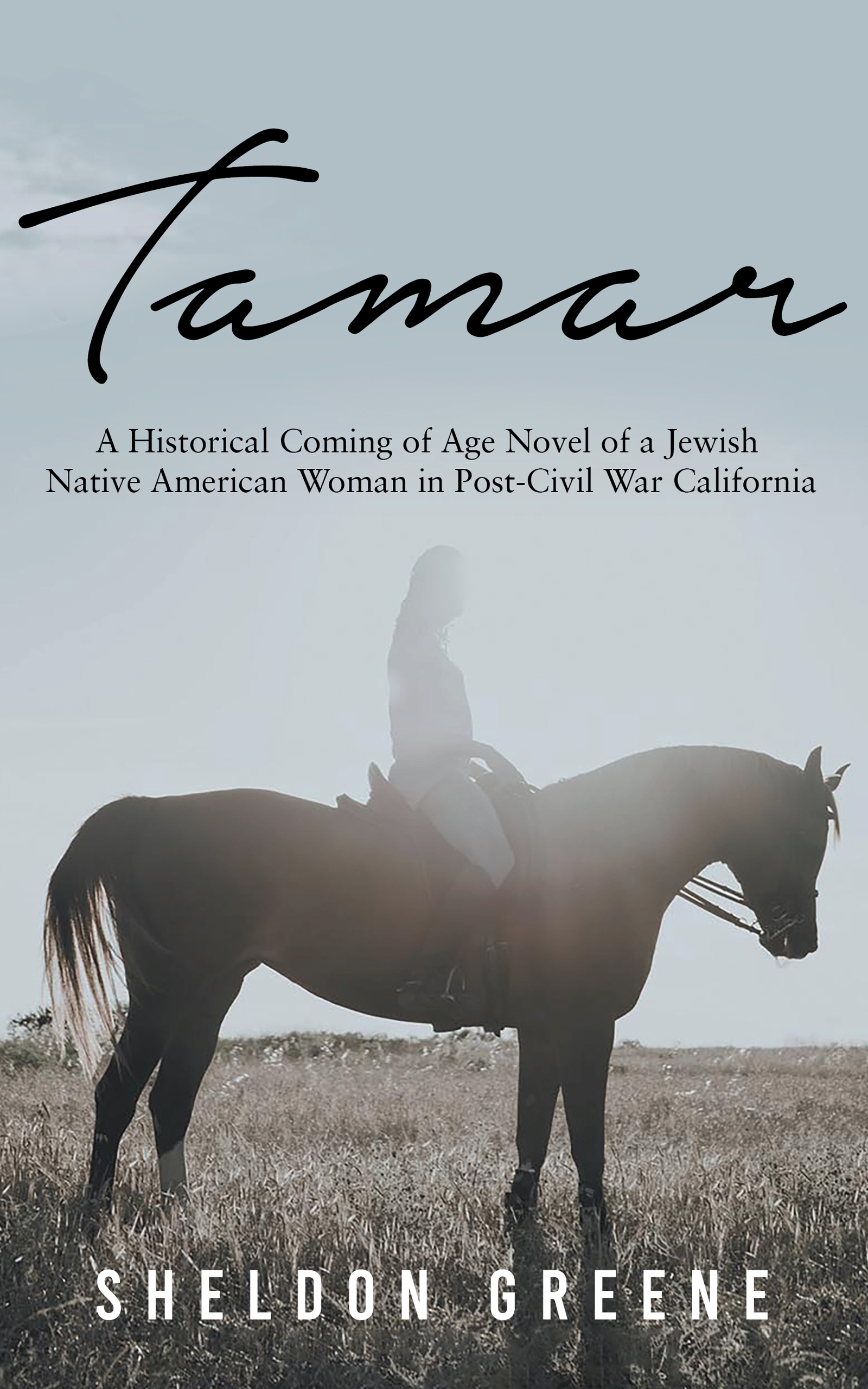 Tamar: A Historical Coming of Age Novel of a Jewish Native American ...