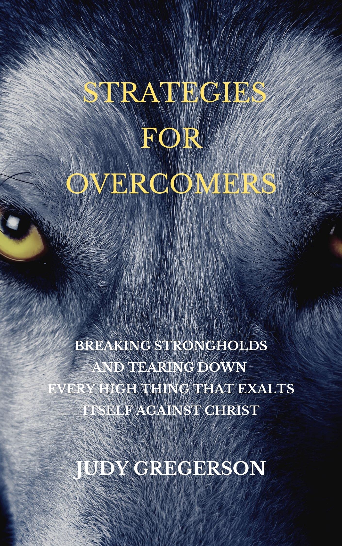 Strategies for Overcomers: Breaking Strongholds and Tearing Down Every ...