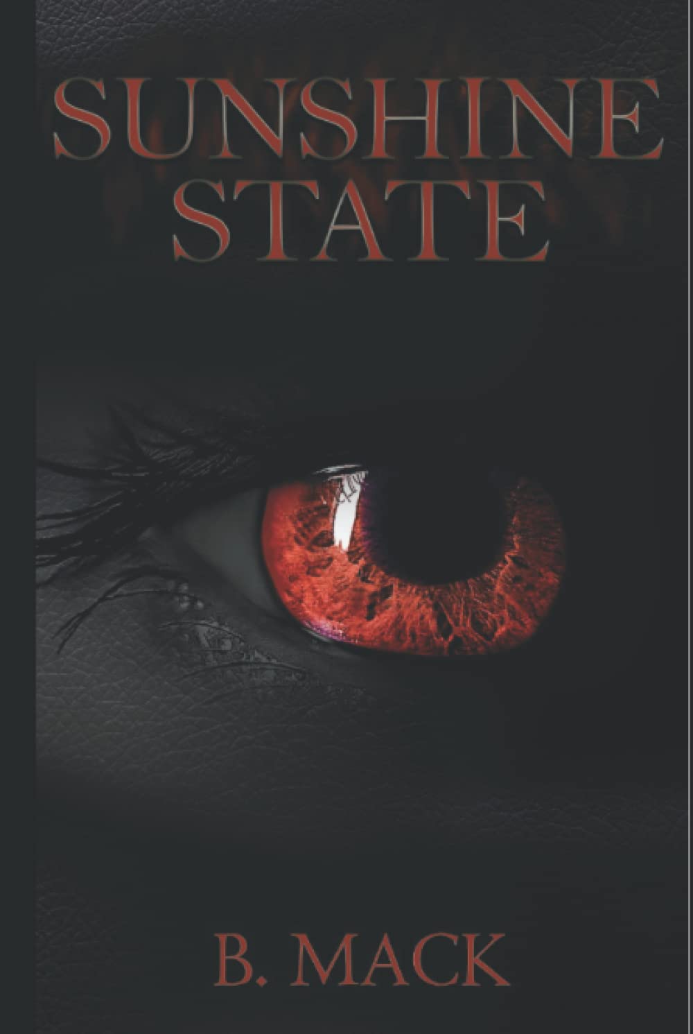 Sunshine State: Book 1 (Sunshine State Trilogy) by B. Mack | Goodreads