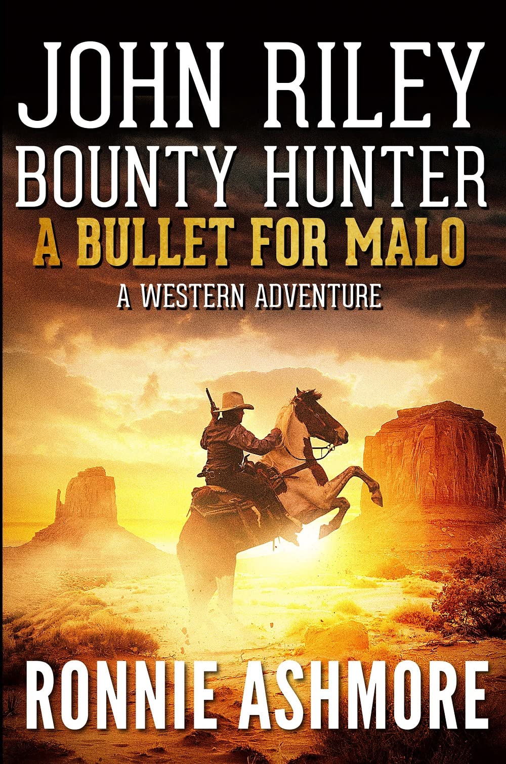 John Riley Bounty Hunter: A Bullet for Malo by Ronnie Ashmore | Goodreads