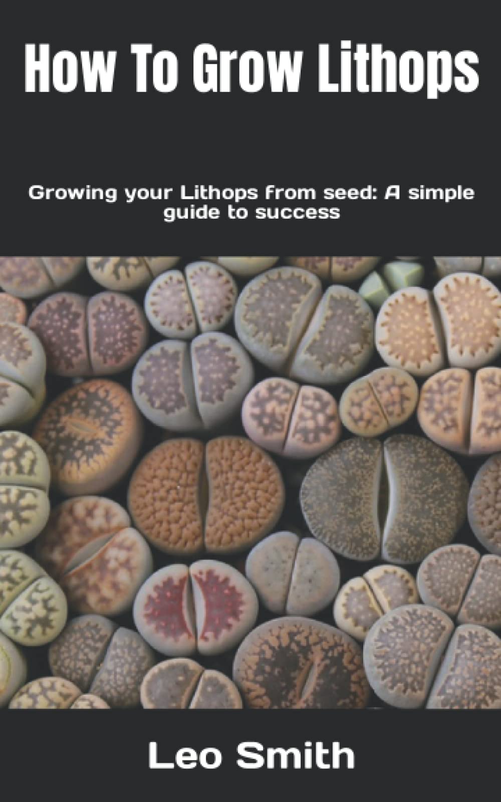How To Grow Lithops: Growing your Lithops from seed: A simple guide to ...
