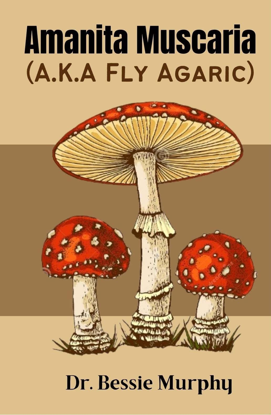 Amanita Muscaria (A.K.A Fly Agaric): Comprehensive Guide on The ...