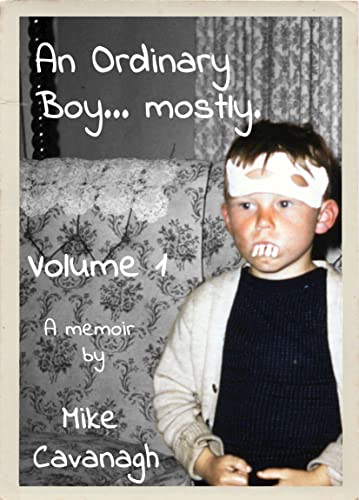 An Ordinary Boy... mostly. Volume 1: The Big, Pink Place on the Bend by ...