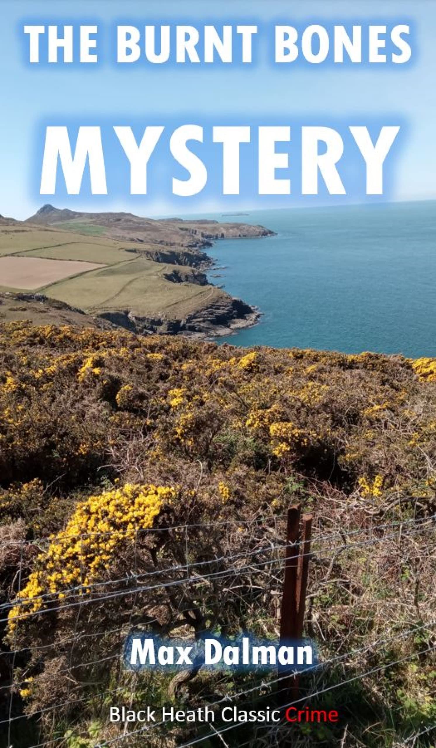 The Burnt Bones Mystery: A Golden Age Detective Story by Max Dalman ...