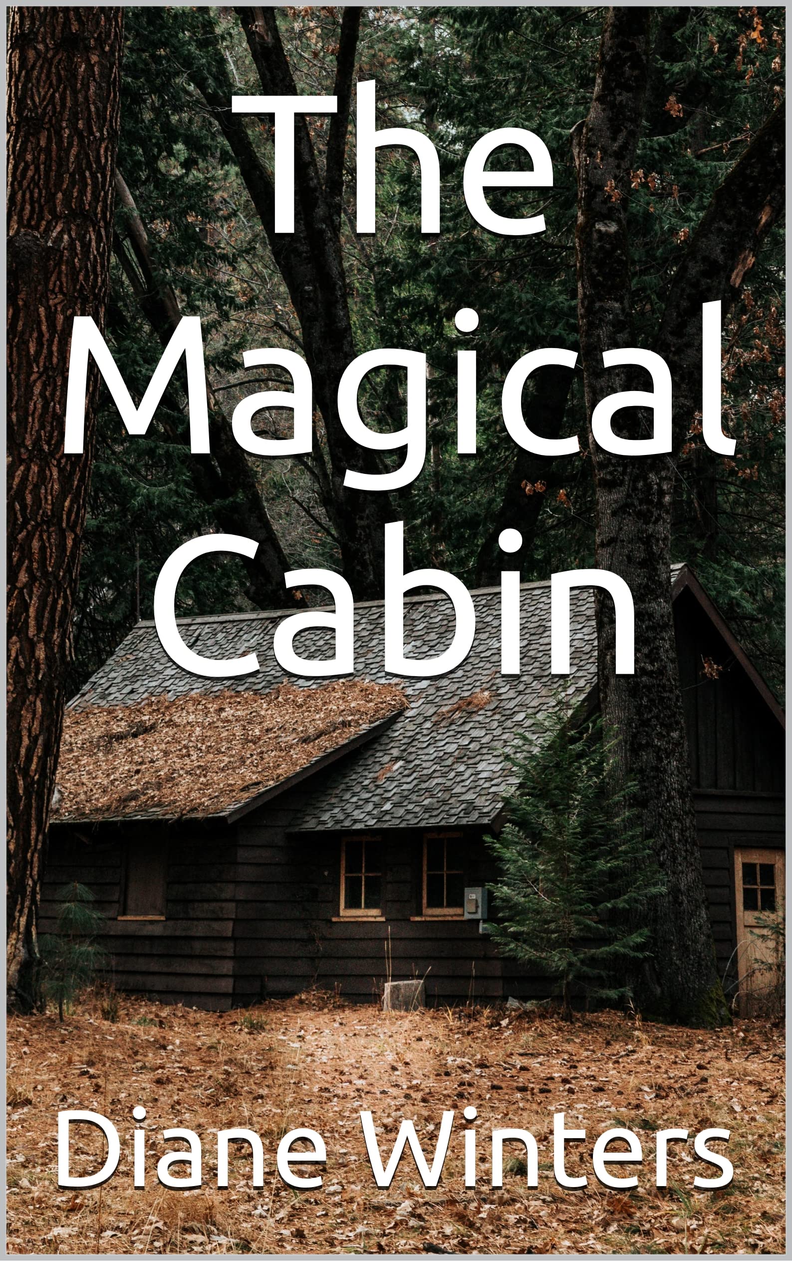 The Magical Cabin by Diane Winters | Goodreads