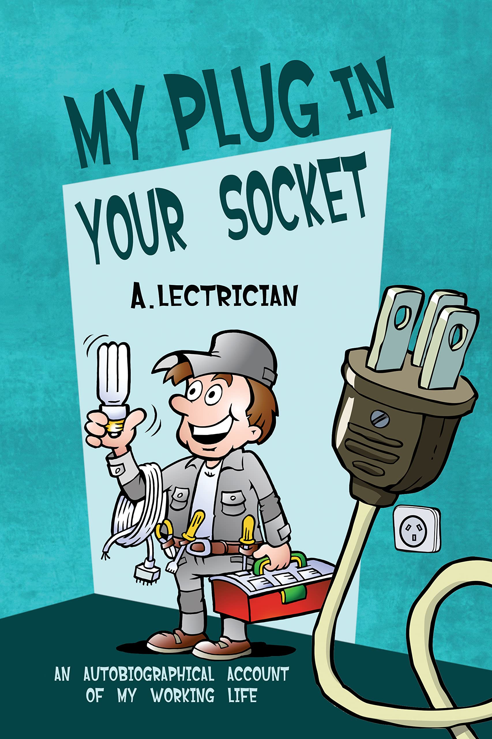 MY PLUG IN YOUR SOCKET: AN AUTOBIOGRAPHICAL ACCOUNT OF MY WORKING LIFE ...